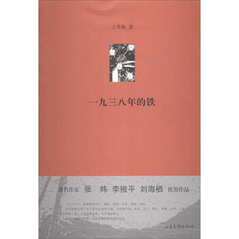 一九三八年的铁 王秀梅  书籍