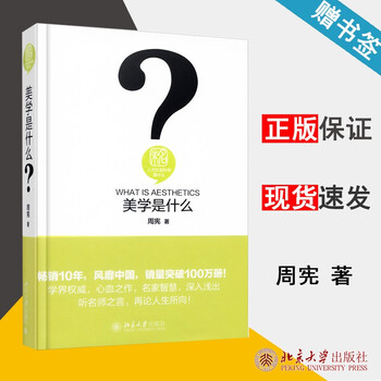 美学是什么 周宪 北京大学出版社 人文社会科学是什么丛书