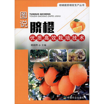 图说脐橙优质高效栽培技术 赖晓桦 编 书籍