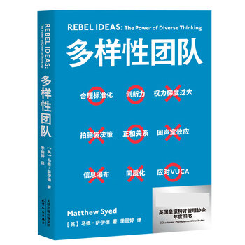 多样性团队