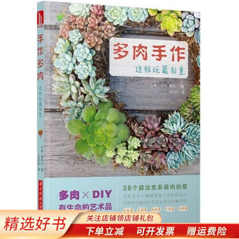 多肉手作，这样玩最创意！