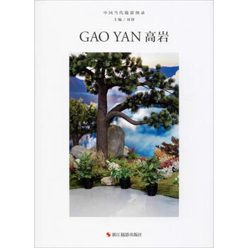 中国当代摄影图录 高岩 刘铮 编 书籍