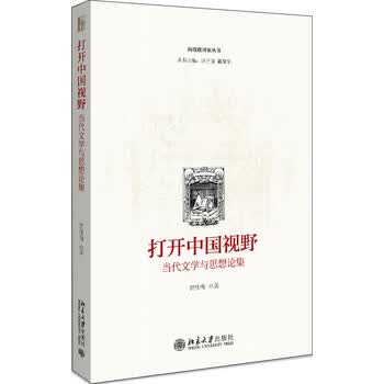 打开中国视野——当代文学与思想论集