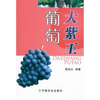 大紫王葡萄