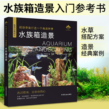 给热带鱼打造一个海底世界 水族箱造景 从入门到精通水族箱鱼缸造景入门教程书时尚生活水草造景艺术栽培造景水草造景书水景制作