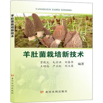 羊肚菌栽培新技术 贾乾义 等 编 书籍