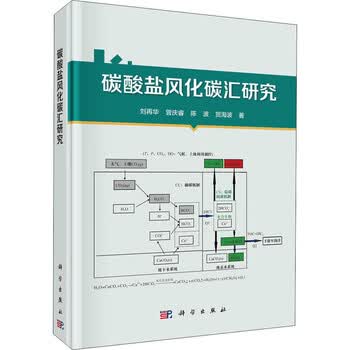 碳酸盐风化碳汇研究 图书