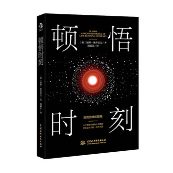顿悟时刻 (加)加博·塞普雷吉