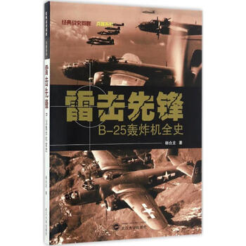 雷击先锋 杨合龙  书籍