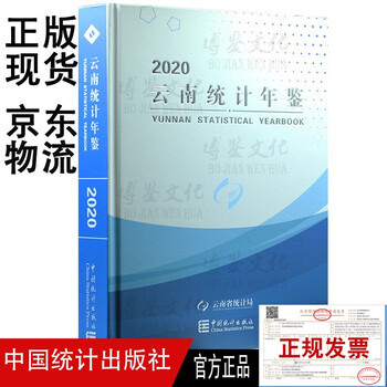 2020 云南统计年鉴（附电子版）