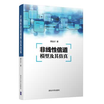非线性信道模型及其仿真 郭业才  书籍