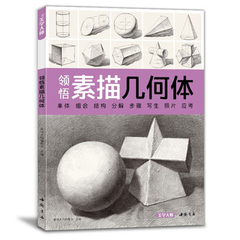 美学大师领悟素描几何体书籍 八开临摹范本 素描起步入门基础教程对画照片写生技法画册集美院联考美术