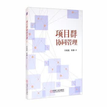 项目群协同管理