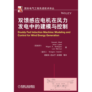 双馈感应电机在风力发电中的建模与控制