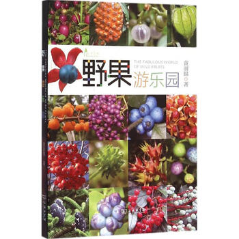 野果游乐园 黄丽锦   书籍