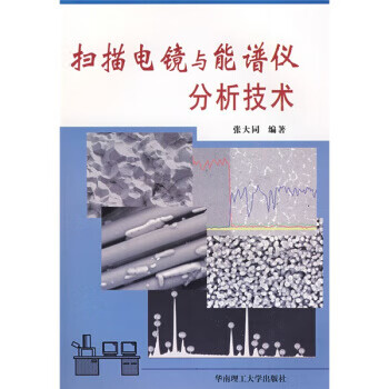 扫描电镜与能谱仪分析技术