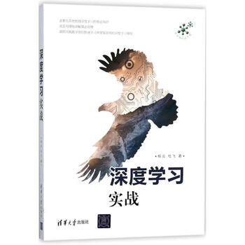 深度学习实战 杨云,杜飞  书籍