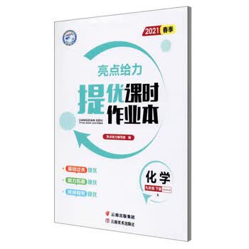 亮点给力·提优课时作业本：化学（九年级下册 R 2021春季）