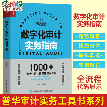 数字化审计实务指南   数字化审计工具书