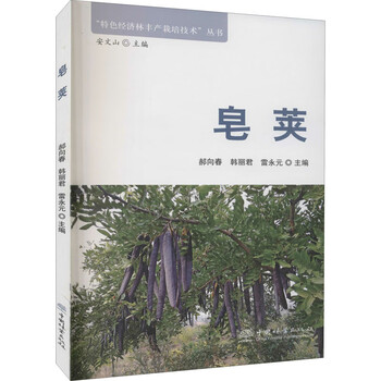 皂荚