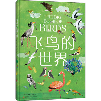 飞鸟的世界