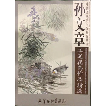 孙文章工笔花鸟作品精选 孙文章  绘 作 书籍