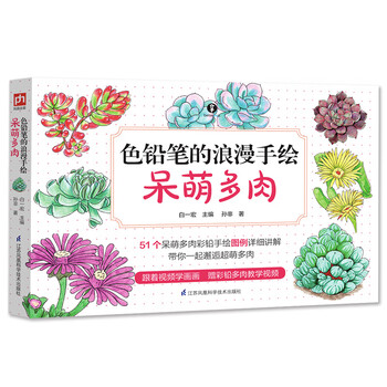 色铅笔的浪漫手绘(呆萌多肉) 孙非  书籍