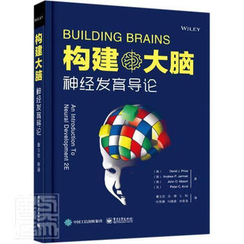 构建大脑神经精美电子工业出版社医学