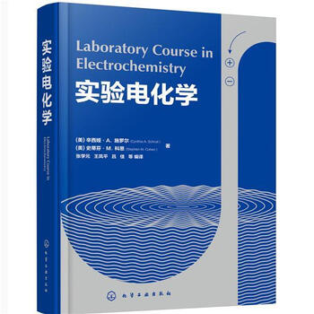 实验电化学书辛西娅·施罗尔工业技术书籍