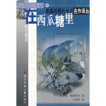 色彩缤纷的鸟在西瓜糖里—美国后现代主义名作译丛 （美）唐纳德·巴塞尔姆 等著,王伟庆 等译【书】