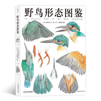 野鸟形态图鉴 赤勘兵卫 科普读物 9787553679624