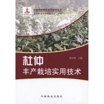 杜仲丰产栽培实用技术