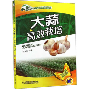 大蒜高效栽培 刘冰江 编 书籍