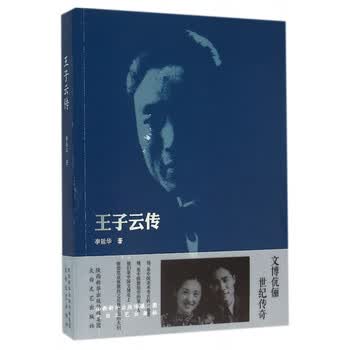 王子云传