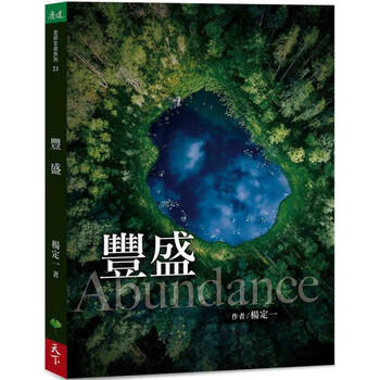 现货正版 原版进口图书 杨定一《丰盛》天下生活