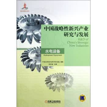 中国战略性新兴产业研究与发展水电设备
