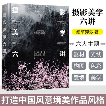 2021新书 摄影美学六讲 细草穿沙摄影艺术入门基础教材构图技巧 人像静物风景布光用手机玩数