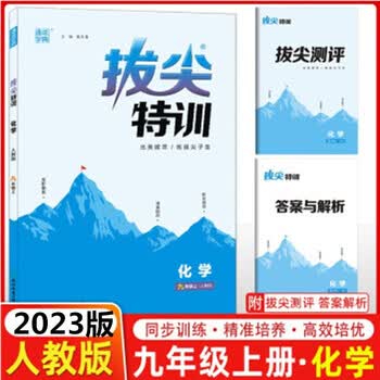 2022秋 拔尖特训 九年级上册化学 人教版