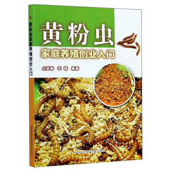 黄粉虫家庭养殖创业入门