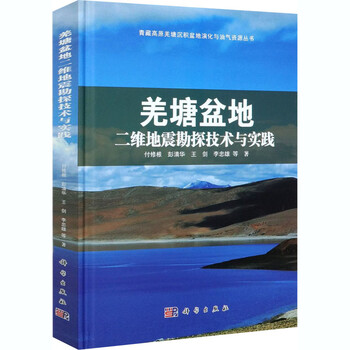 羌塘盆地二维地震勘探技术与实践