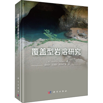 覆盖性岩溶研究