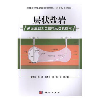 层状盐岩采卤造腔工艺模拟及仿真技术/姜德义/科学出版社/9787030538246/计算机与互联网