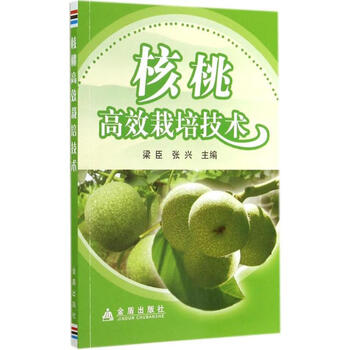 核桃高效栽培技术
