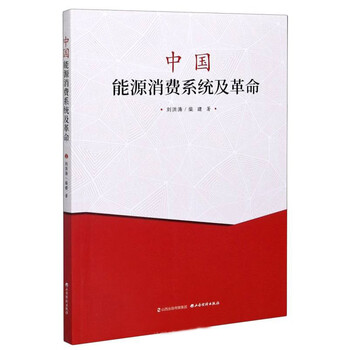中国能源消费系统及革命
