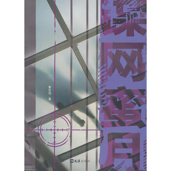 谍网蜜月 黄志远  作 书籍