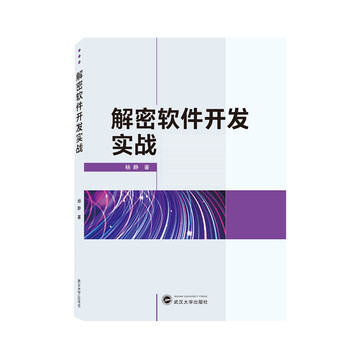解密软件开发实战 杨静 武汉大学出版社