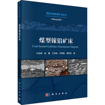 煤型镓铝矿床 代世峰 等  书籍