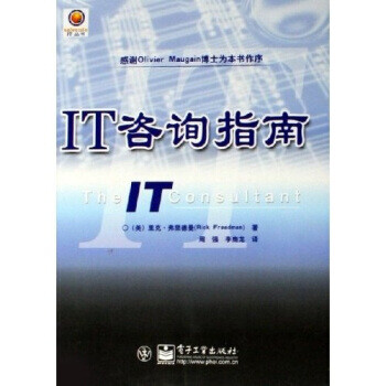 solvento IT丛书IT咨询指南