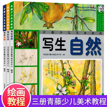 青藤少儿美术教程 写生生活写生自然写生动物 6-14岁青少年素描彩铅画临摹技法绘画基础入门少儿童美术培训教材 青藤美术教材少年宫美术培训教材创意童画教程画画书少儿素描静物生活用品写生画册彩铅画静物写生