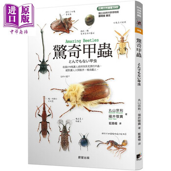 惊奇甲虫 港台原版 丸山宗利 福井敬贵 晨星 昆虫图鉴 昆虫百科科普